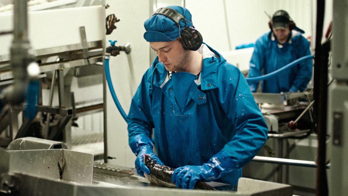 Det sidste paradis på Jord vinder Nordisk Råds Filmpris | Det Danske ...